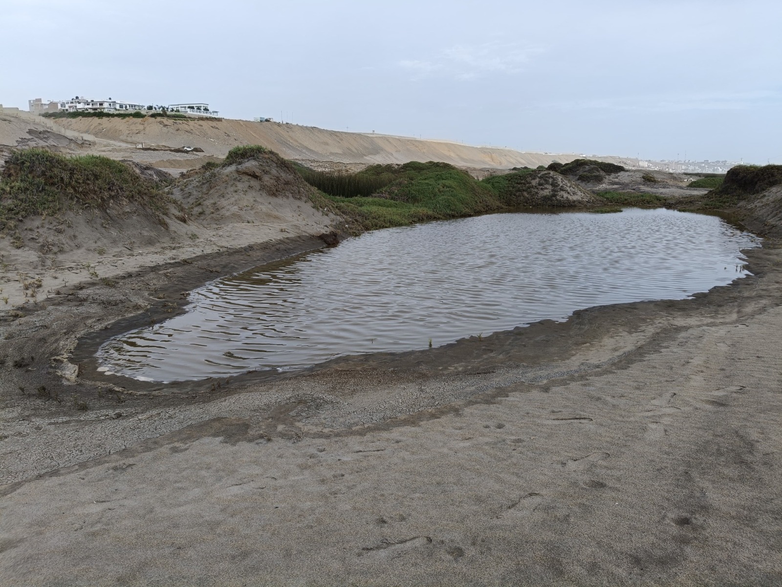 Advierten que el desborde de aguas residuales de El Tablazo ocasiona ...